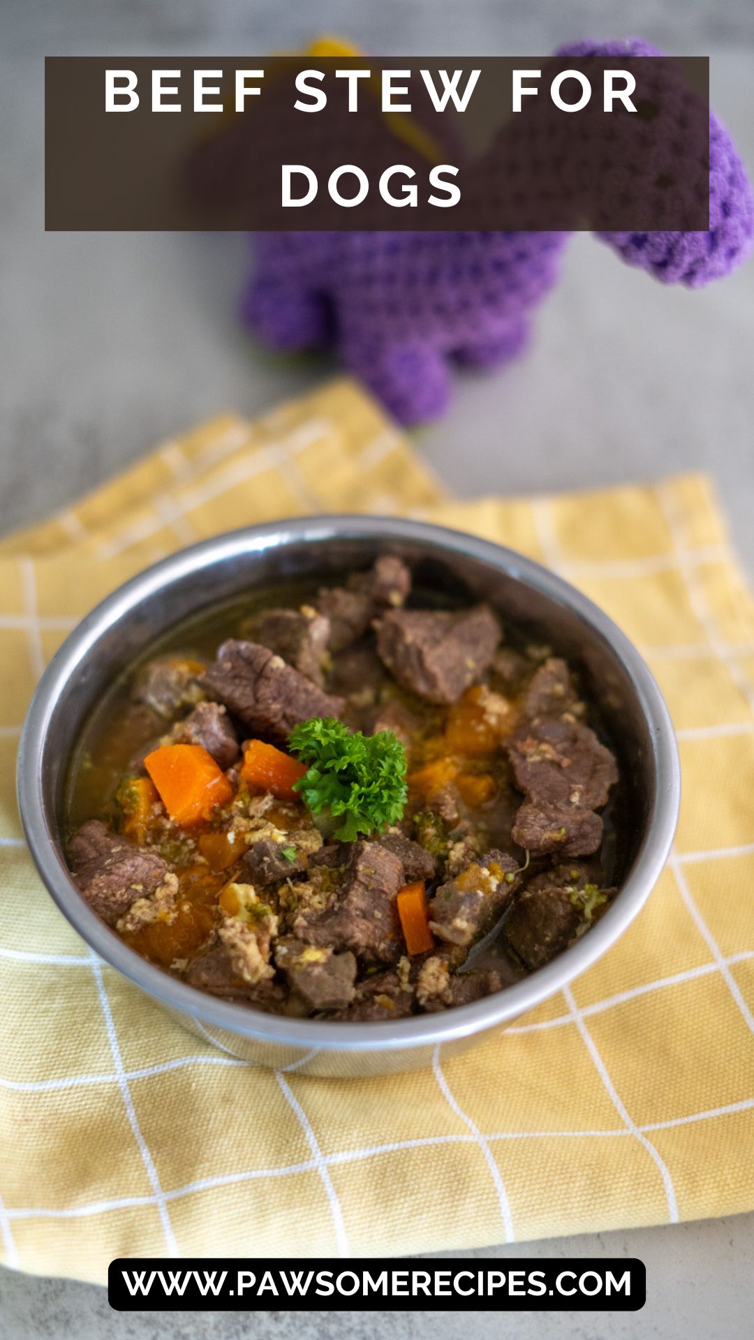 Beef Stew for Dogs