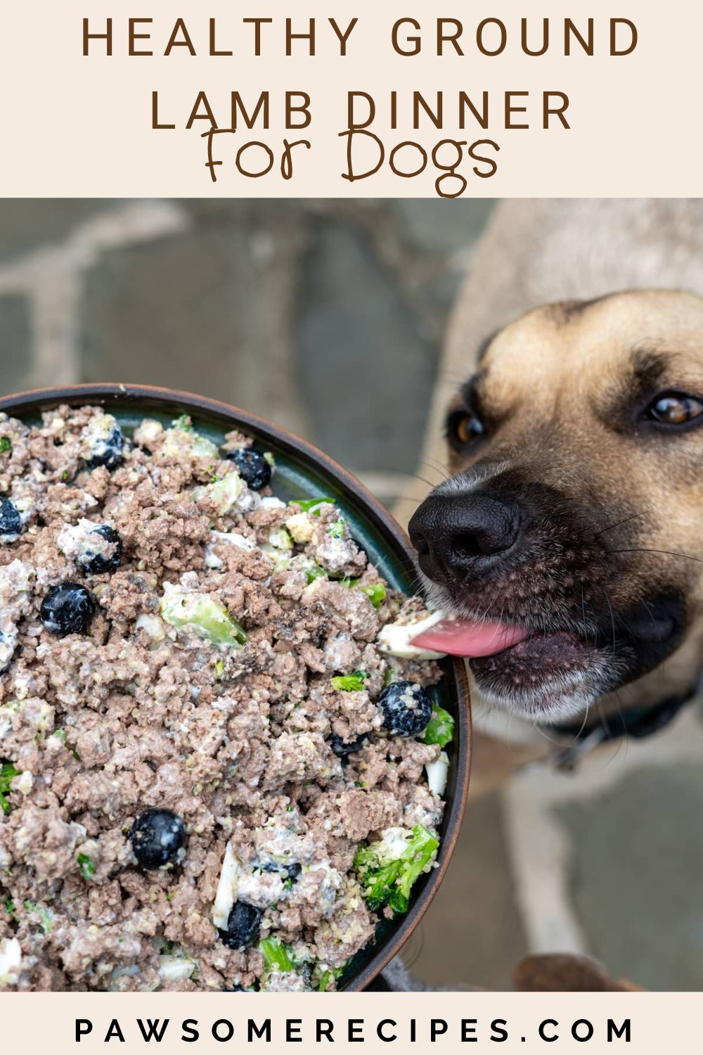 Easy Healthy Ground Lamb for Dogs