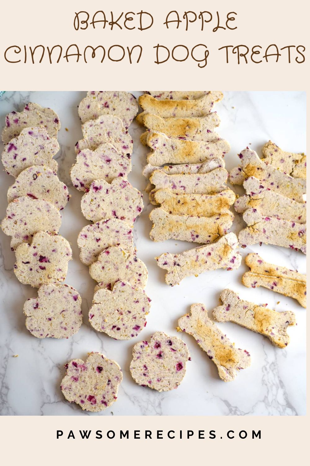 Baked Apple Cranberry Dog Treats