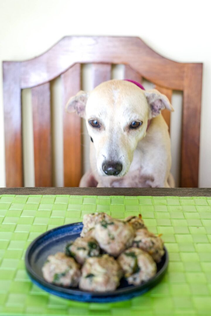Pork Apple Meatball Dog Treats