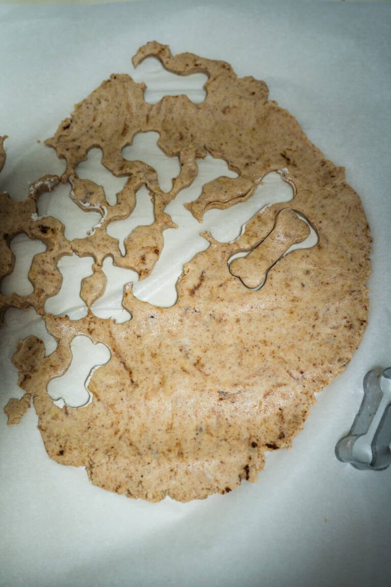 Baked Cinnamon Dog Treats