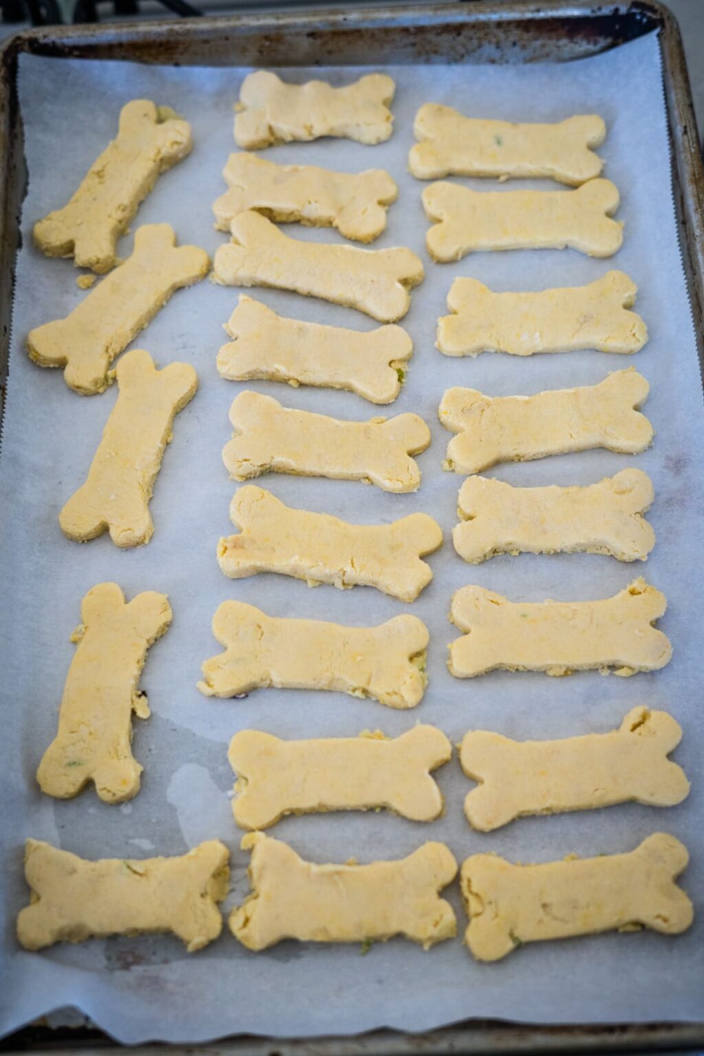 Apple Pumpkin Dog Treats