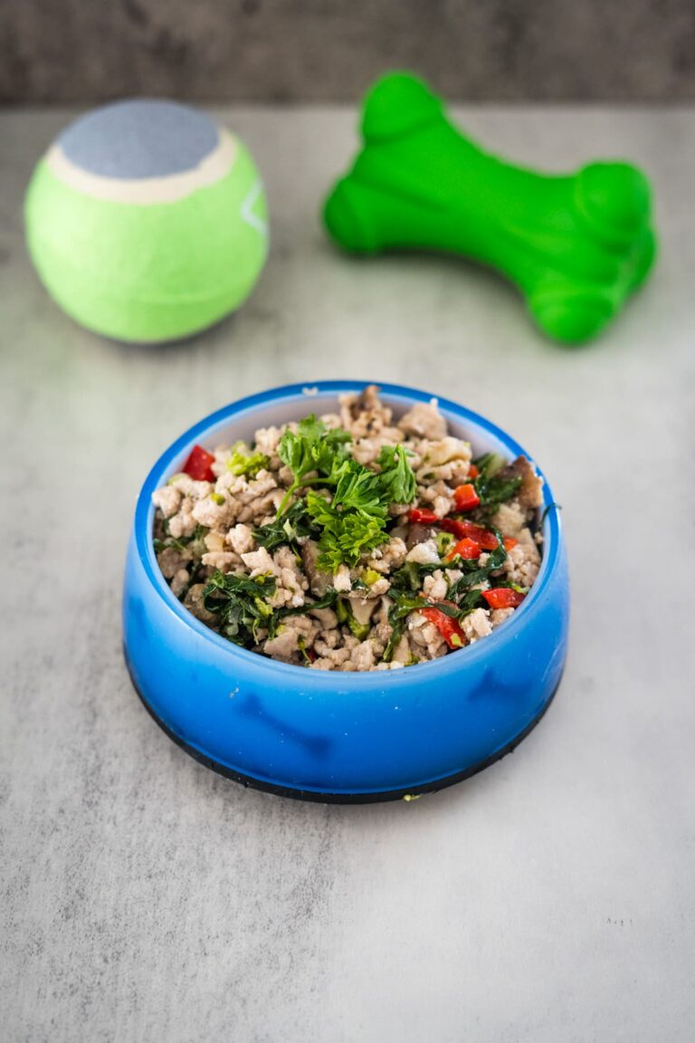 Pork & Vegetable Dog Food Recipe
