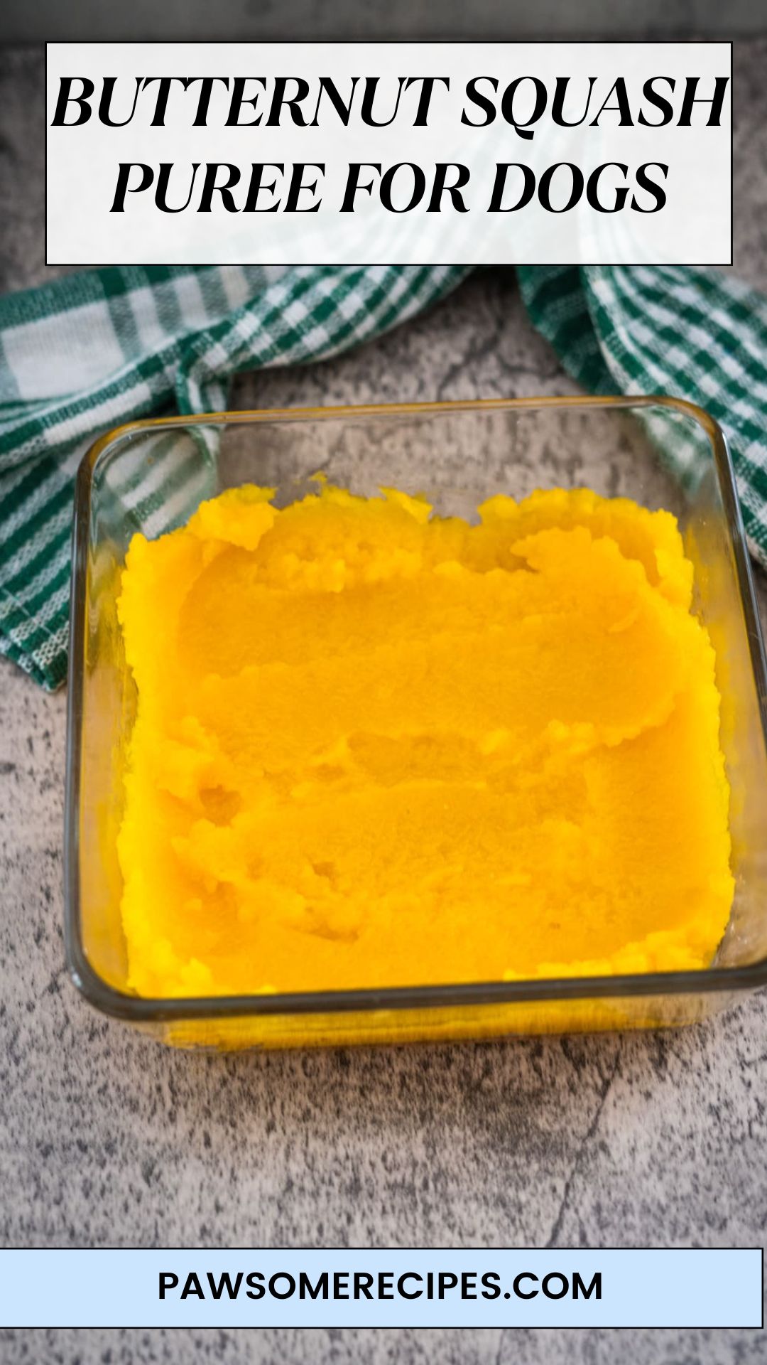 Butternut Squash Puree for Dogs