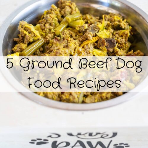 5 Ground Beef Dog Food Recipes