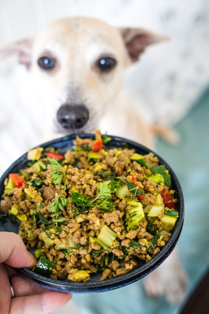 Ground Lamb Dog Food Recipe