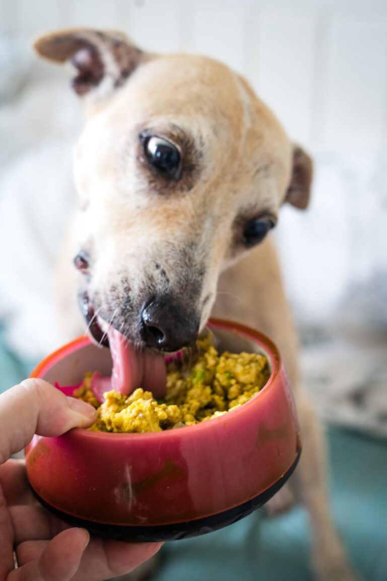 Pork & Veggie Doggie Dinner
