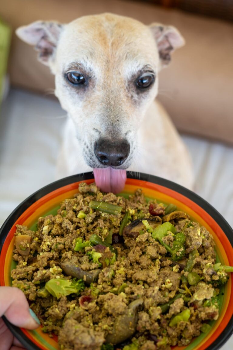 Chicken Dinner for Dogs