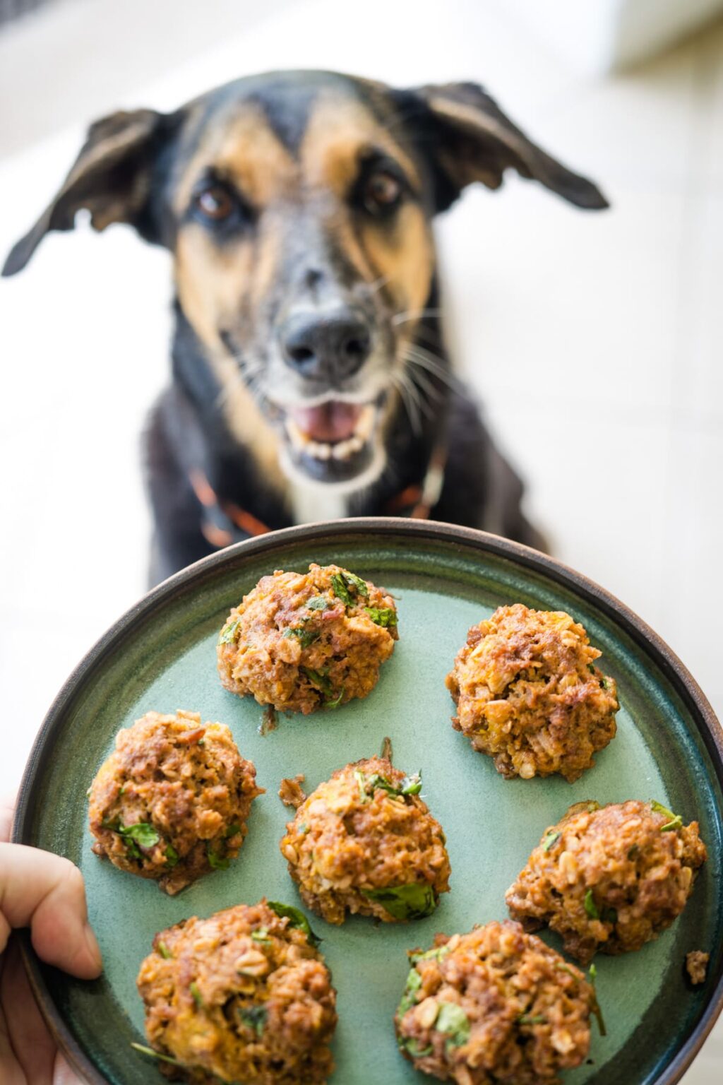 Beef Pumpkin Meatball Treats for Dogs