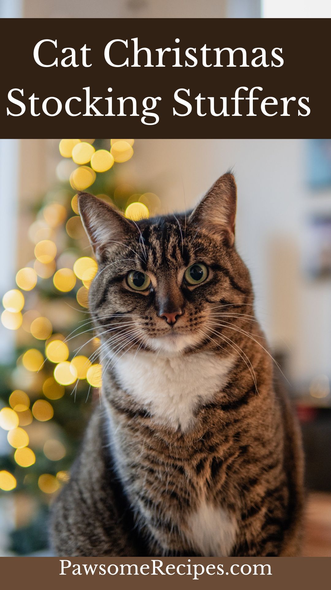 Cat Christmas Stocking Stuffers