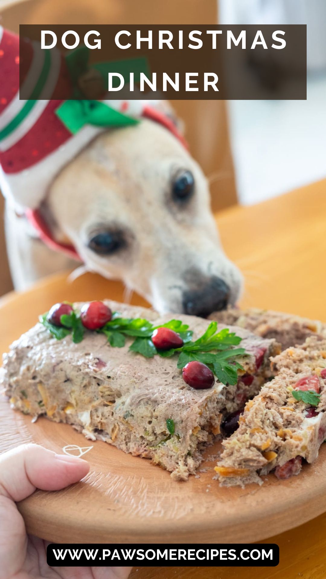 Christmas Dinner for Dogs