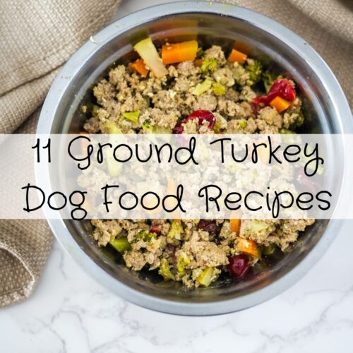 11 Dog Food Recipes With Ground Turkey