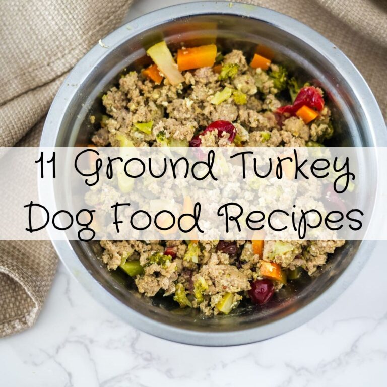 11 Dog Food Recipes With Ground Turkey