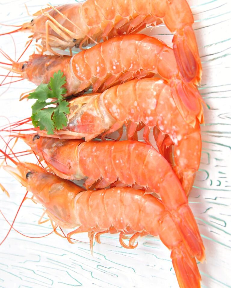 Can Cats Eat Prawns?