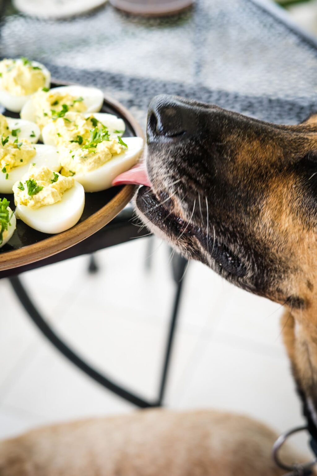 Deviled Eggs For Dogs