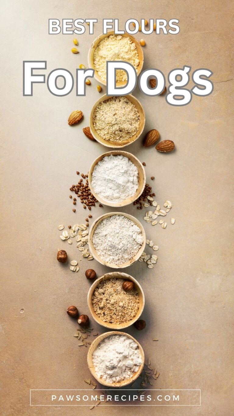 Best Flour for Dogs