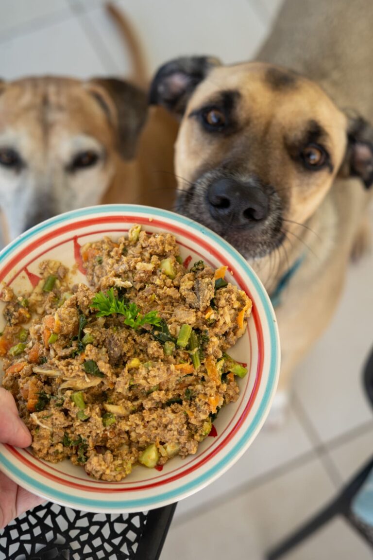 Homemade Dog Food With Turkey & Beef