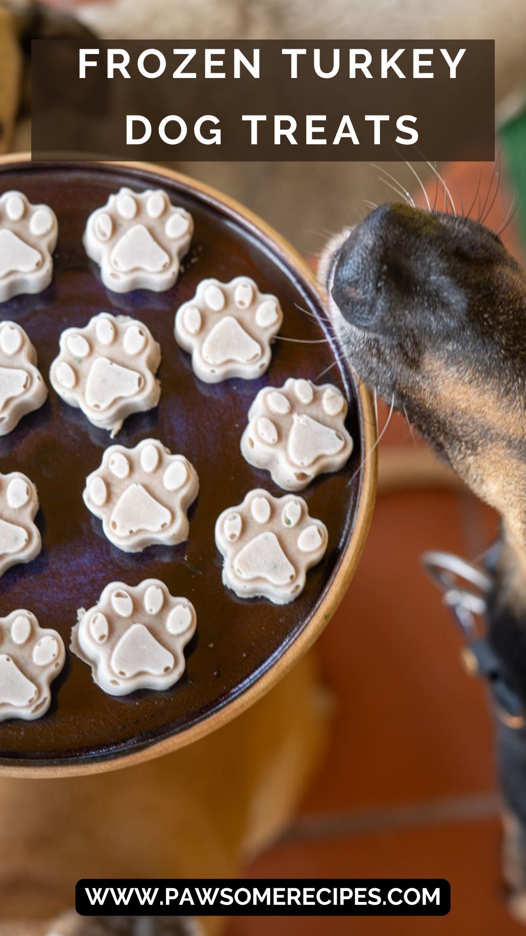 Frozen Ground Turkey Dog Treats