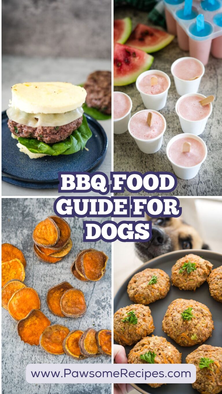BBQ Foods Dogs Can Eat (and What to Avoid)