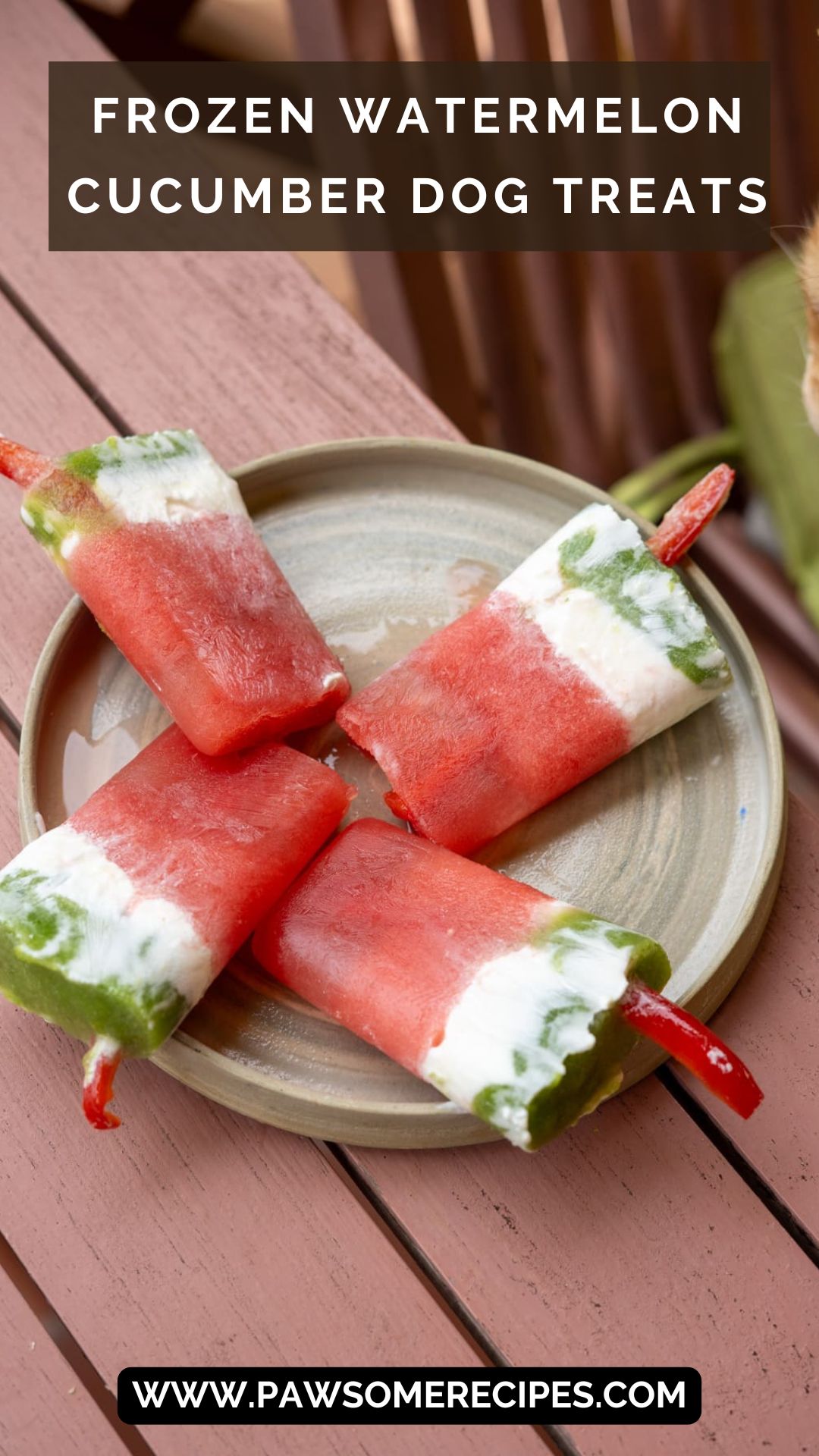 Frozen Watermelon Cucumber Dog Treats