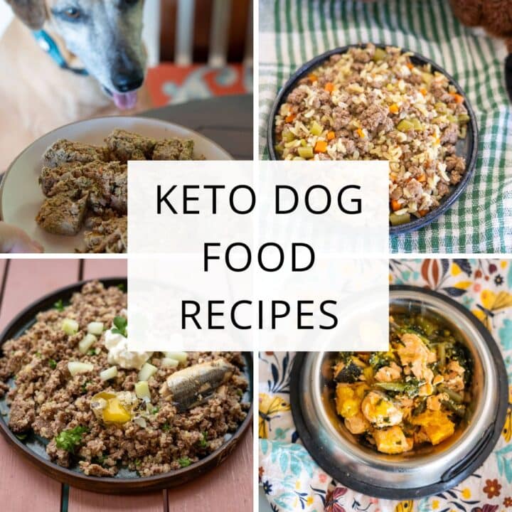 Keto Dog Food Recipes