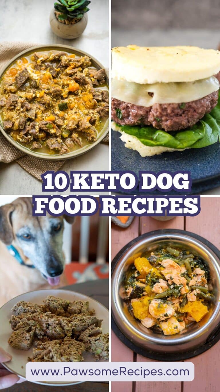 Keto Dog Food Recipes