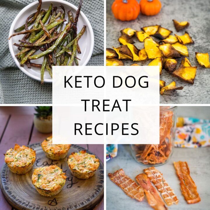 Keto Dog Treat Recipes