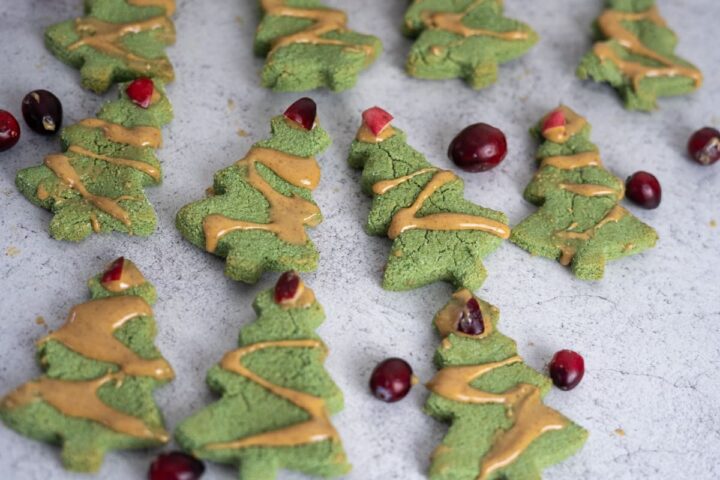 Christmas Tree Dog Treats