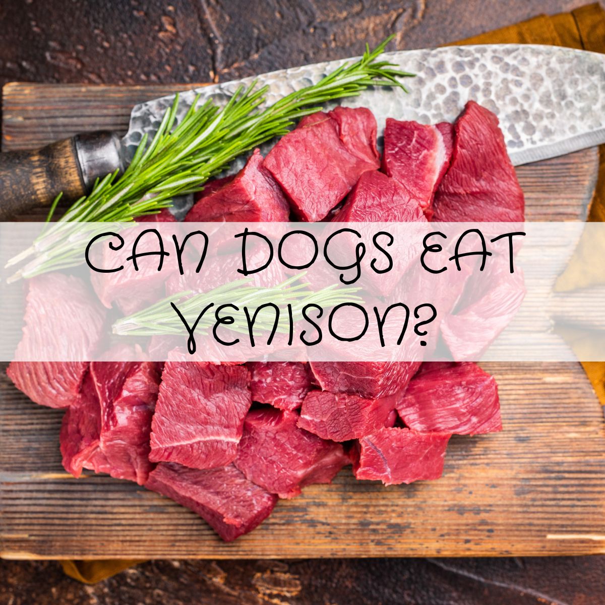 Can Dogs Eat Venison