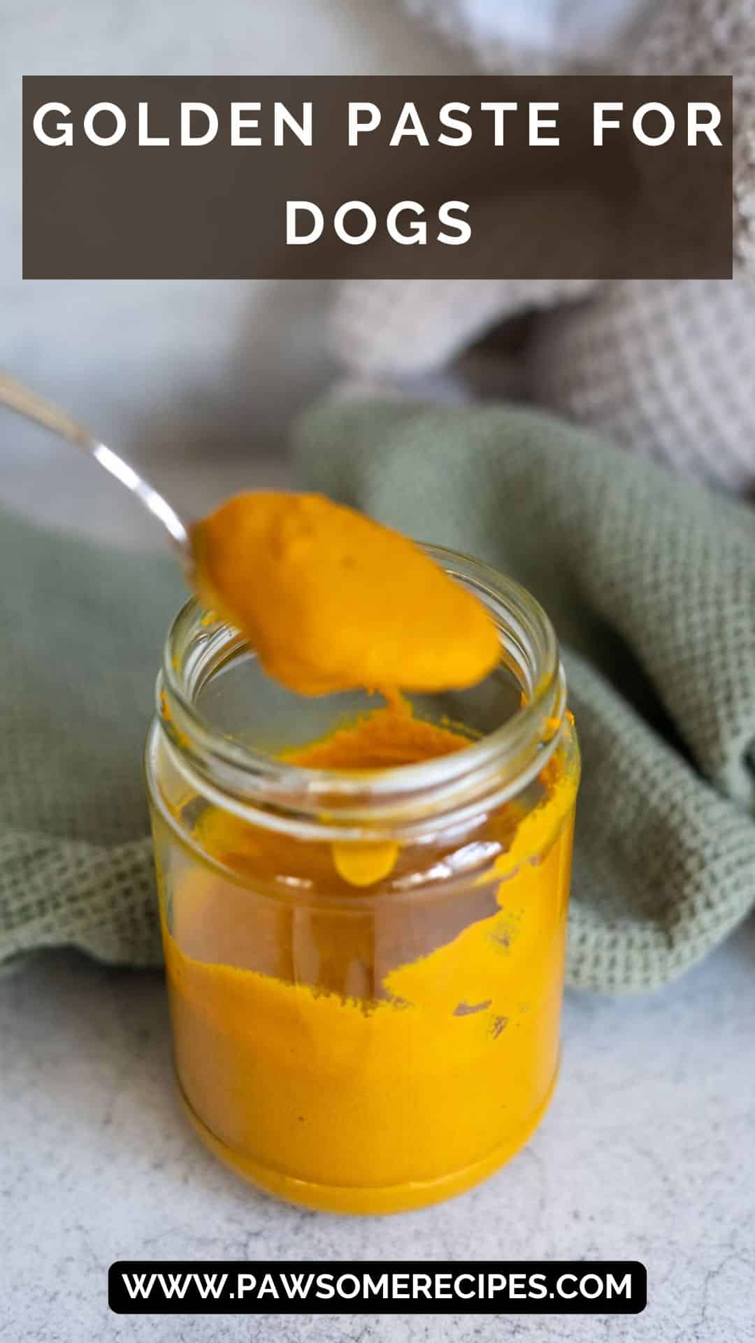 Golden Paste for Dogs