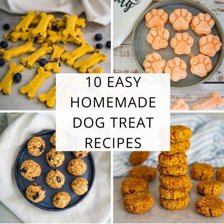 10 Easy Homemade Dog Treat Recipes